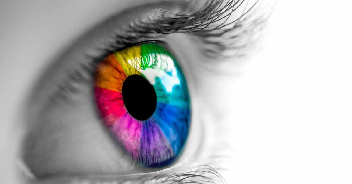 Science of Sight Ed 10: The Reason Behind Different Coloured Eyes
